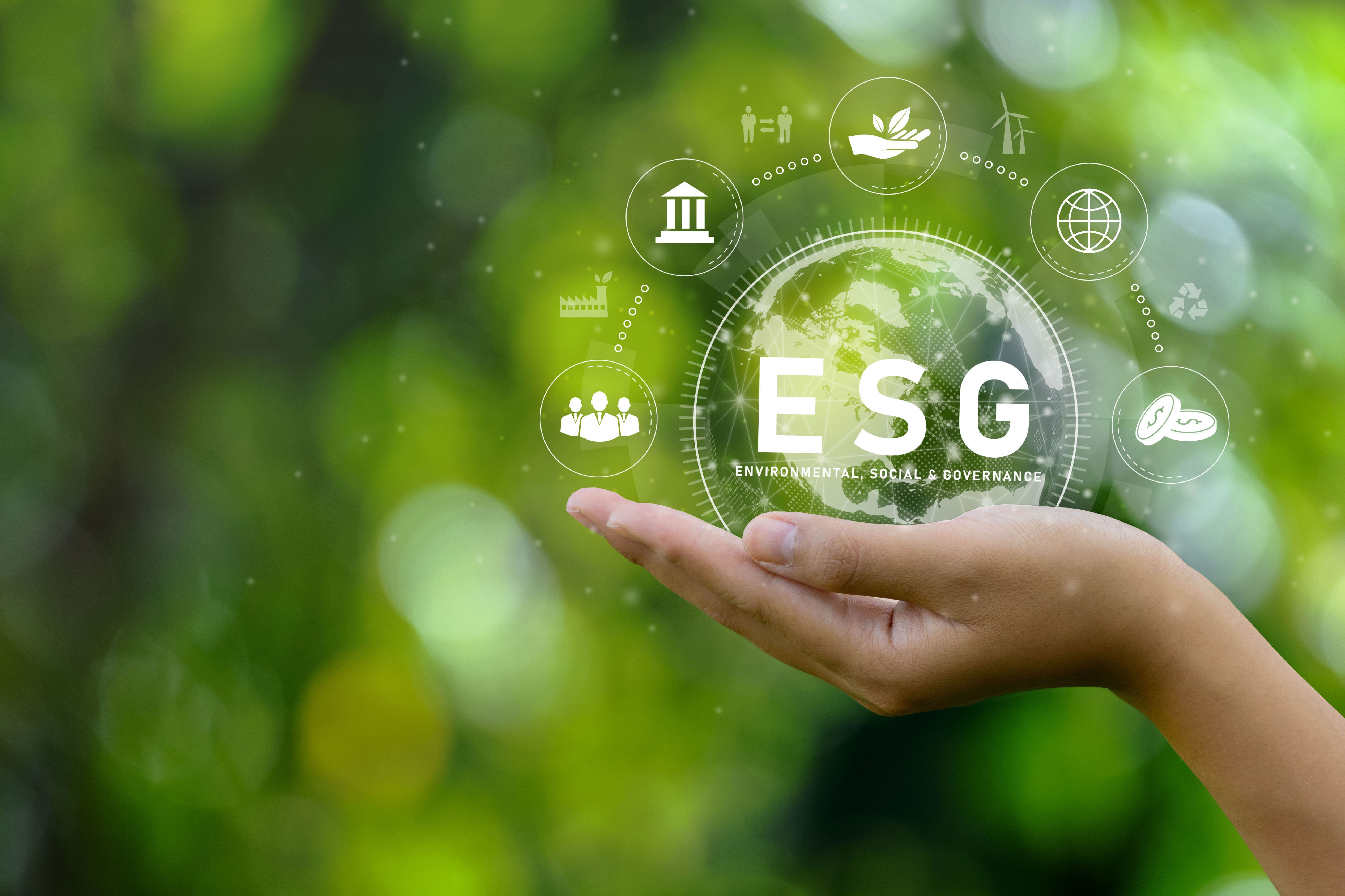 Umwelt- vs. ESG-Kennzahlen: Was Sie beachten müssen ️ESG-Ratings