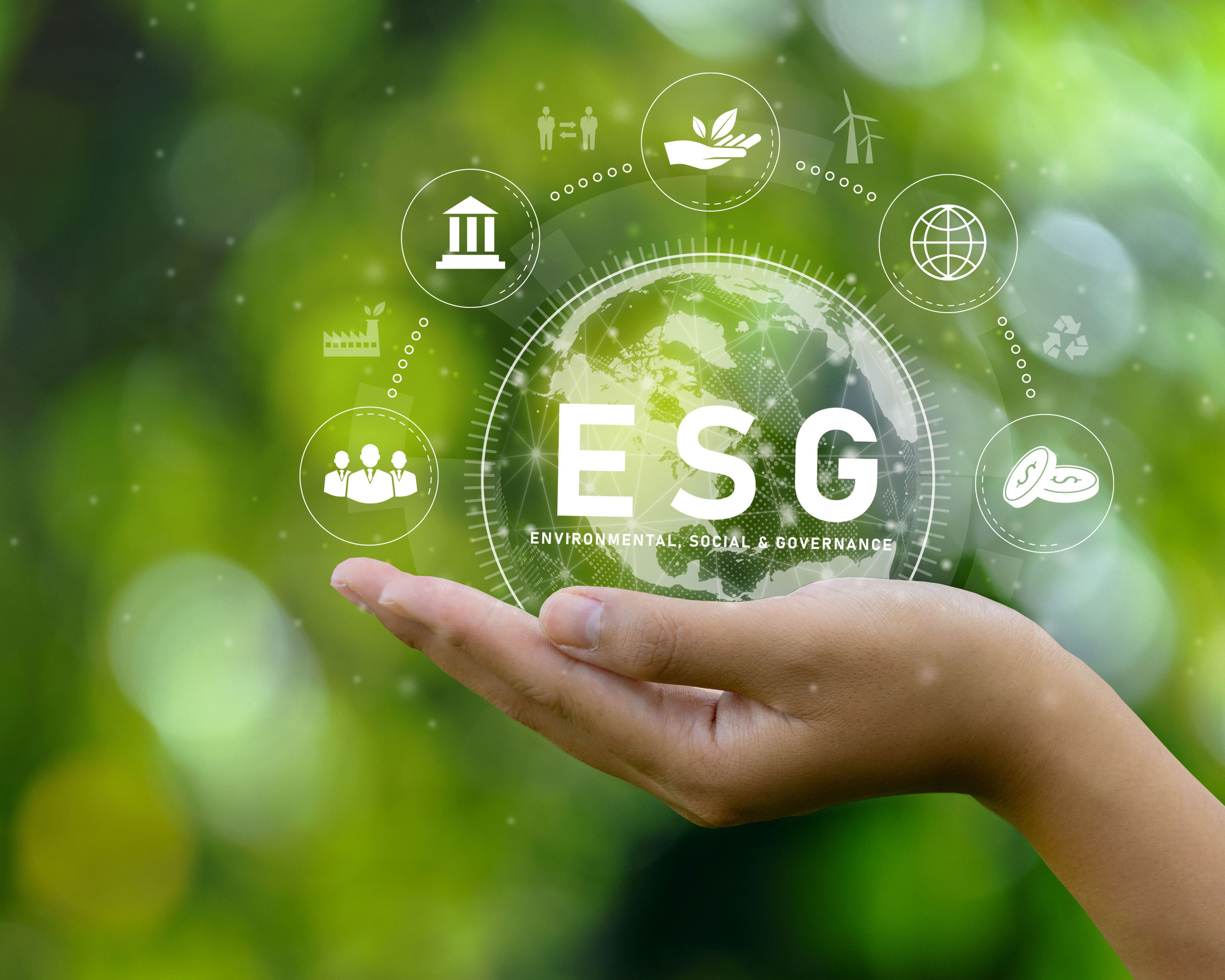 Blog ️Sustainability& ️CSRD ️ESRS ️Nachhaltigkeitsberichterstattung